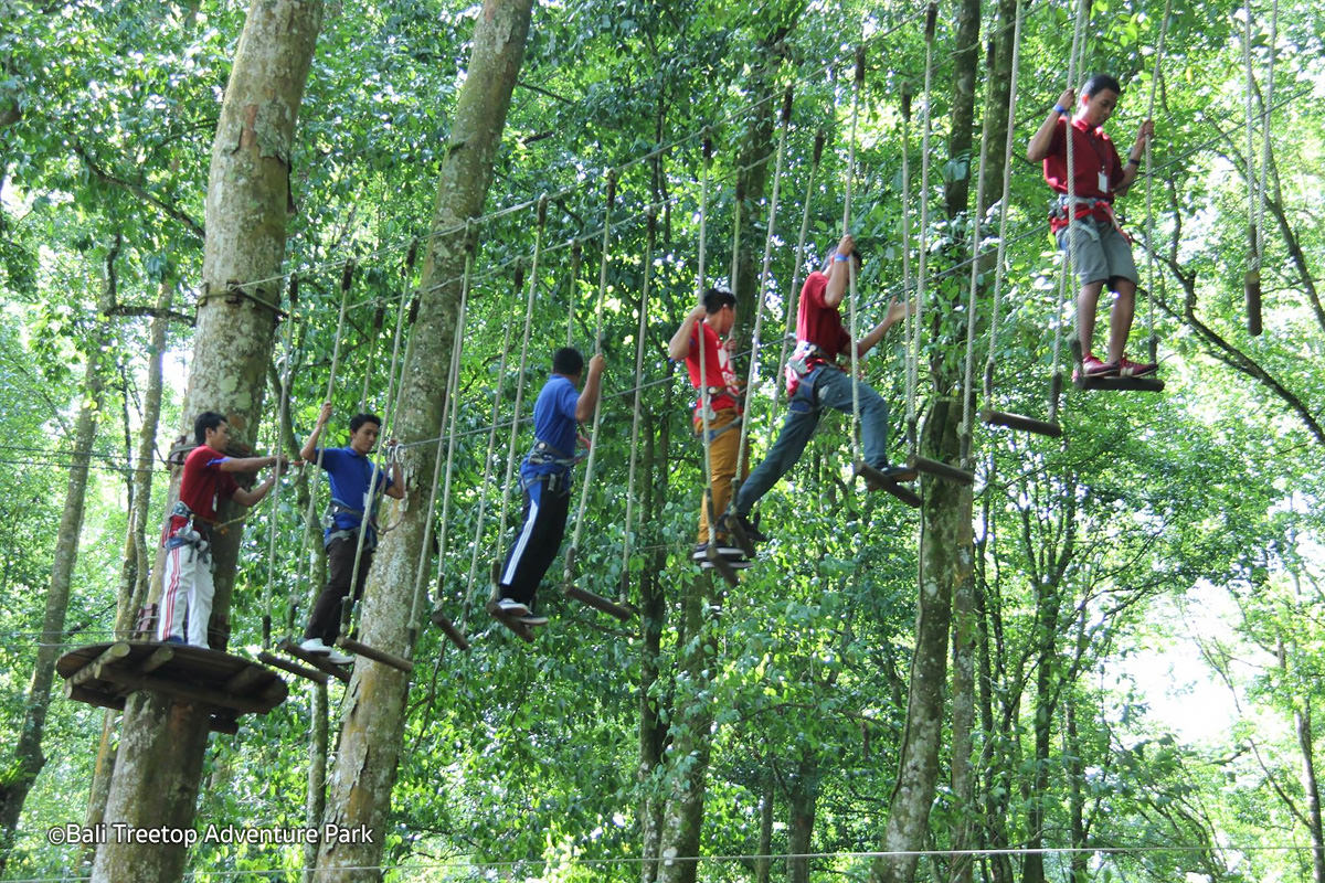 Bali Treetop Adventure Park - Werner Lau Diving Centers