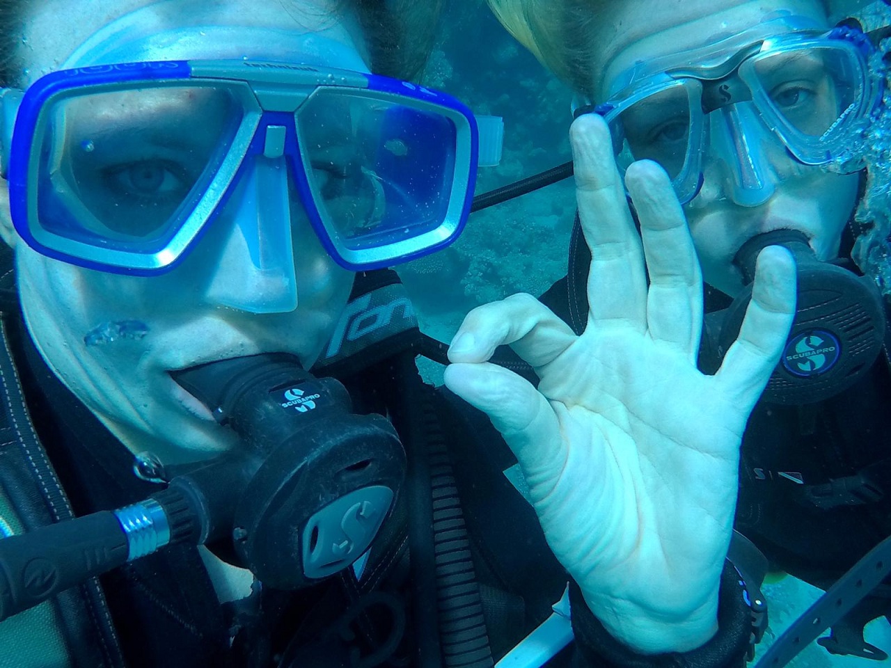 Welcome to the world of the crazy divers - Werner Lau Diving Centers