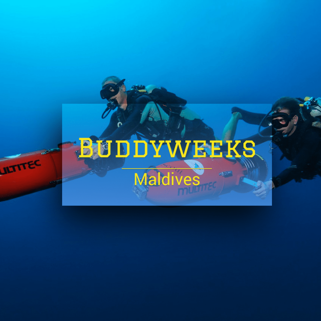 Buddyweeks Maldives 2019 - Werner Lau Diving Centers