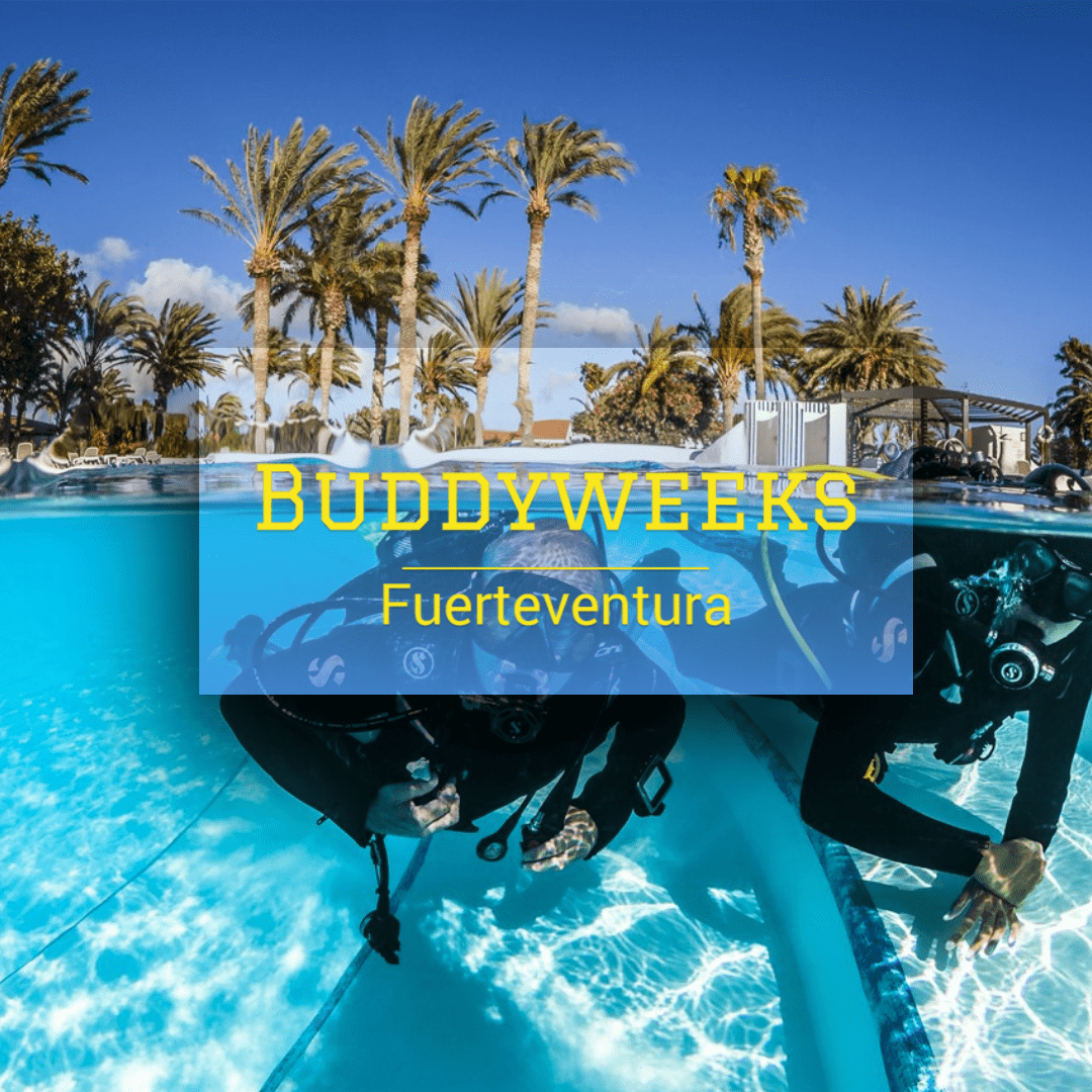 Buddyweeks Fuerteventura 2019 - 2020 - Werner Lau Diving Centers