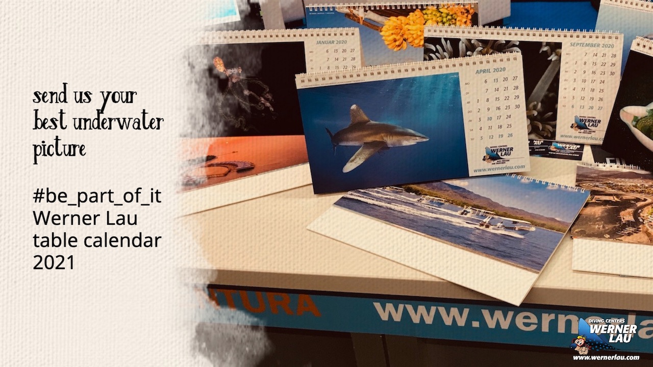 Table Calender 2021 - Werner Lau Diving Centers